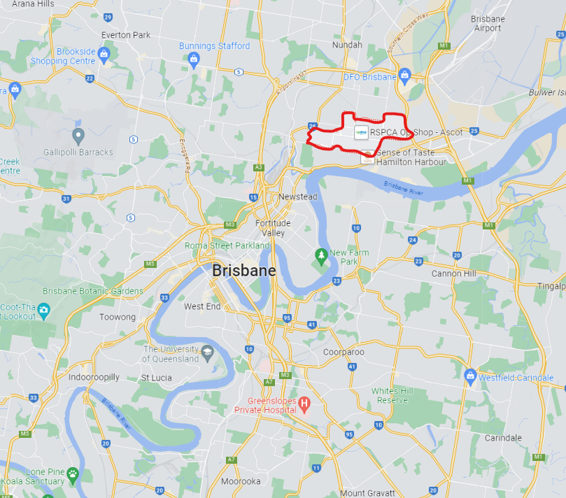 12 Best Suburbs in Brisbane for Your Family’s Forever Home